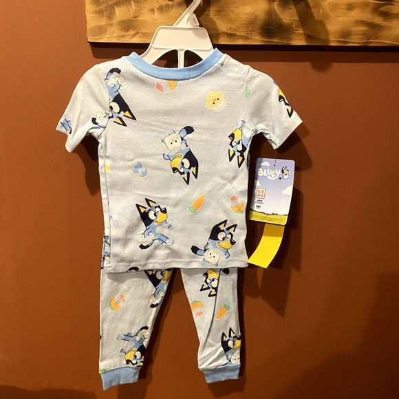 Disney | Matching Sets | Nwt Bluey Two Piece Easter Toddler Kids ...